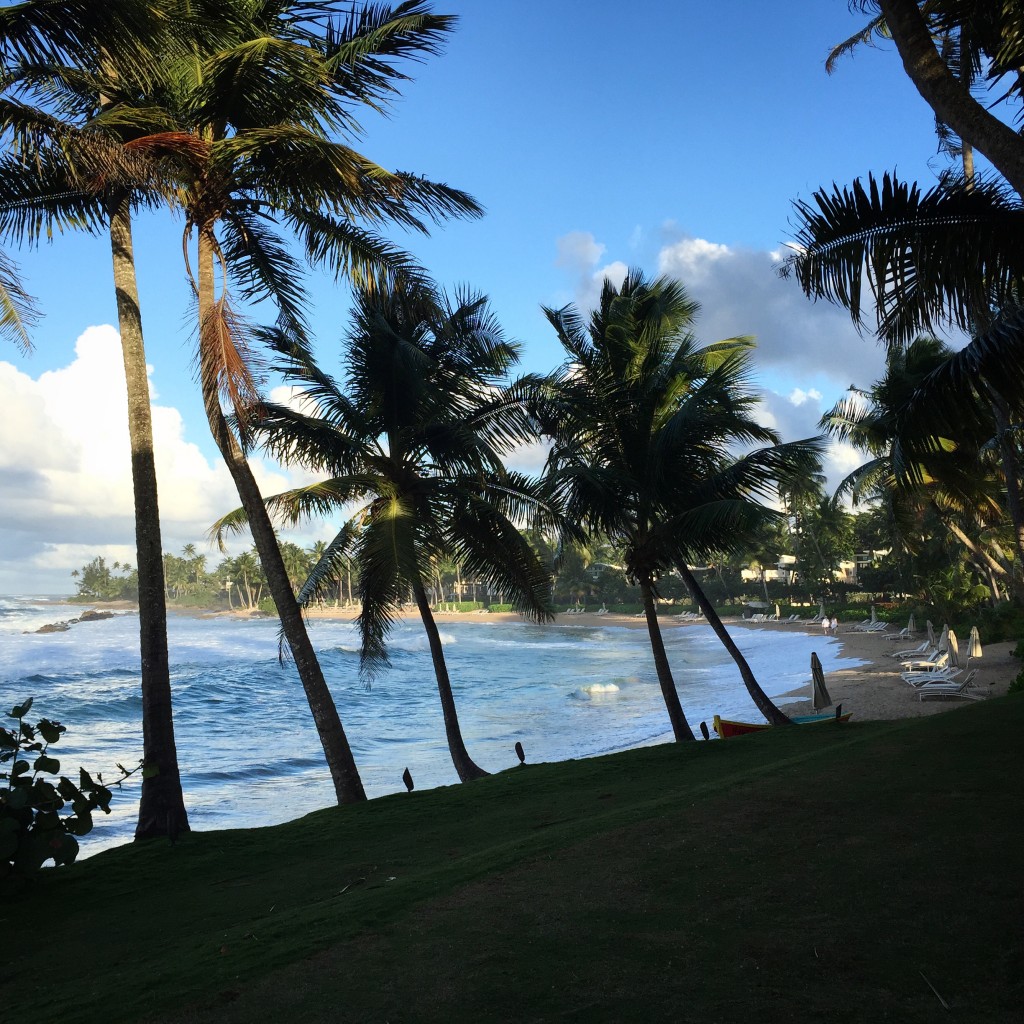 Puerto Rico - Lisa Lindblad Travel Design